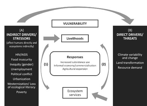 conceptual framework illustrating the links between human or livelihood