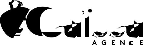 Création De Sites Et Modules E Learning Agence Caïssa