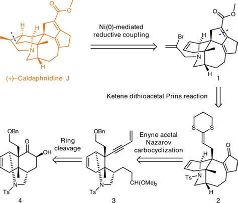 Asymmetric Total Synthesis Of Yuzurimine Type Daphniphyllum Alkaloid Caldaphnidine J Pmc