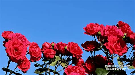 청명한 파란 하늘 아래