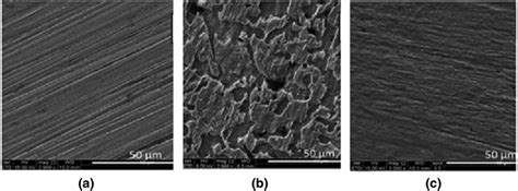 Scanning Electron Micrographs Of Mild Steel A Polished B After