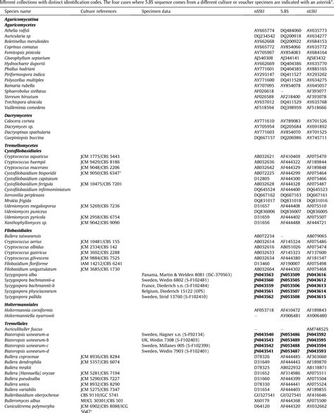 Regulation Of Septation Initiation Signaling Semantic Scholar