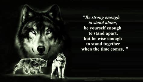 50 Best Wolf Quotes Ever