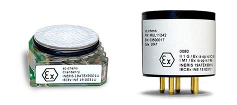 Worlds First 1 Ppm Ndir Lelmethane Sensor Prototype — Elichens