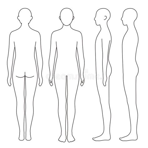 Human Body Outline Front Back Stock Illustrations 742 Human Body