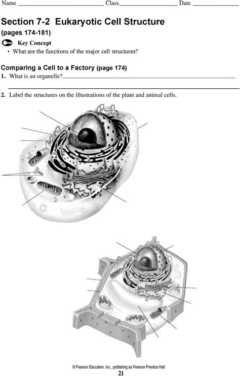 Section 72 Eukaryotic Cell Structure Pdf — Db