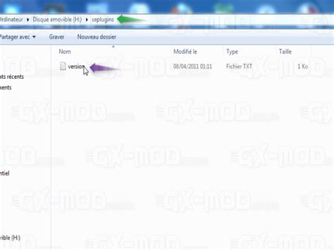 Installer Le Cfw Permanent Pro B Tutoriaux Forum Gueux