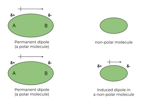 Intermolecular Forces Definition Types Equations Examples