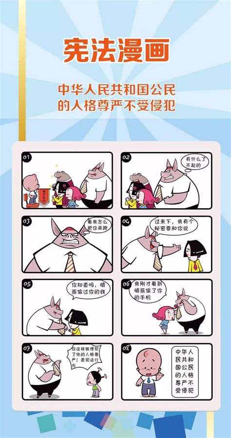 漫说宪法上 这些知识你需要了解 澎湃号政务 澎湃新闻 The Paper