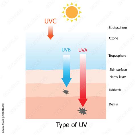 Type Of Uv Uvauvbuvc That Which One Damage Human Skin Stock Vector Type Of Uv Uvauvbuvc That Which One Damage Human Skin Stock Vector