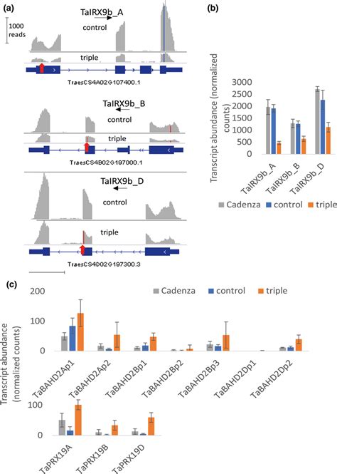 Transcript Abundance Of Selected Genes From Rnaseq Of Endosperm Tissue Download Scientific
