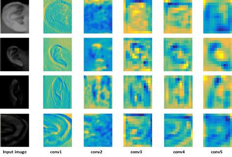 The Visualization Of Different Layer Of Deep Features For One Ear Image