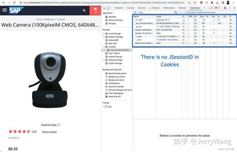 什么是浏览器 Cookies 里的 Jsessionid？ 知乎