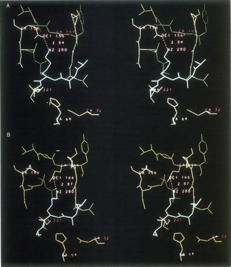 Figure 1 From Designing Substrate Specificity By Protein Engineering Of Electrostatic