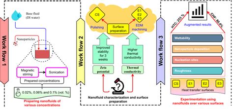Graphical Abstract A Download Scientific