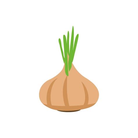 검은 마늘 벡터 일러스트 레이 션 흰색 배경에 고립 프리미엄 벡터