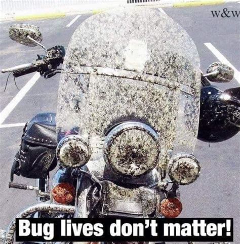 Comic Strips And Troll Faces Etc NSFW Images Must Be Linked Labelled Page 1178 Bay