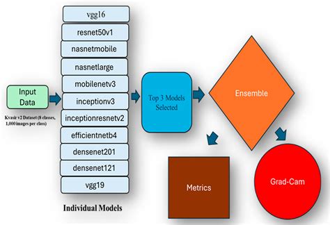 Dynamic Ensemble Learning With Gradient Weighted Class Activation