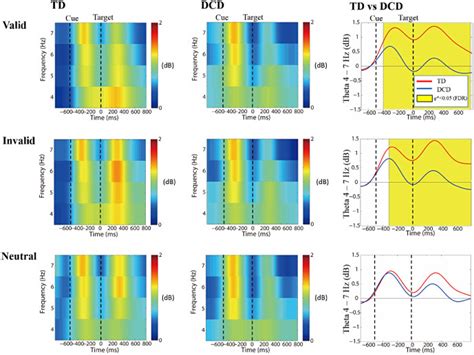 Time Frequency Decomposition With Morlet Wavelets In The Frontal Middle Download Scientific