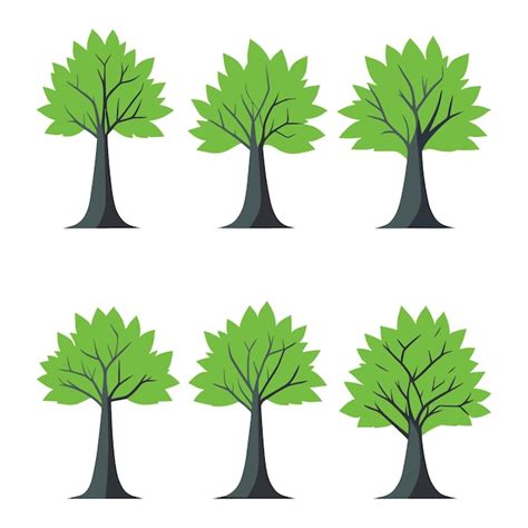 Premium Vector Flat Trees Set Flat Forest Tree Nature Plant Isolated Eco Foliage