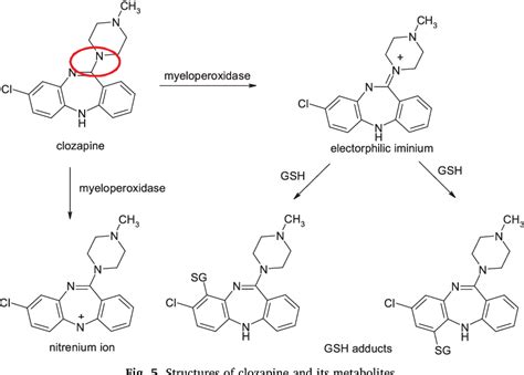 Figure 5 From The Use Of Structural Alerts To Avoid The Toxicity Of