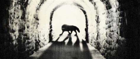 What Are The Scariest Scps Here Are The Top 10