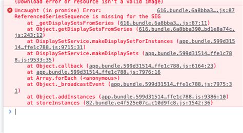 Dicom Seg Metadata Missing From Orthanc Json Sent To Ohif General Orthanc Users