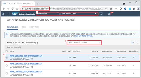 Hana Tutorials How To Install Hana Client On Windows