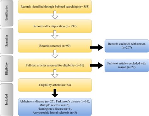 Overview Of Search Methodology Download Scientific Diagram