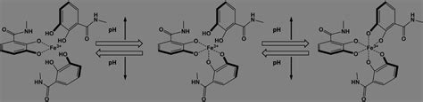 Figure S8 The Ph Dependent Stoichiometry Of Ferric Catechol Complexes