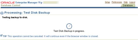 Setting Up Rman For Backup And Recovery Using Database Control
