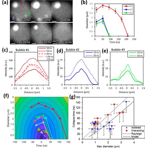 Single Shot Dynamic Tem Imaging Of Nanobubble Formation And Collapse Hummingbird Scientific