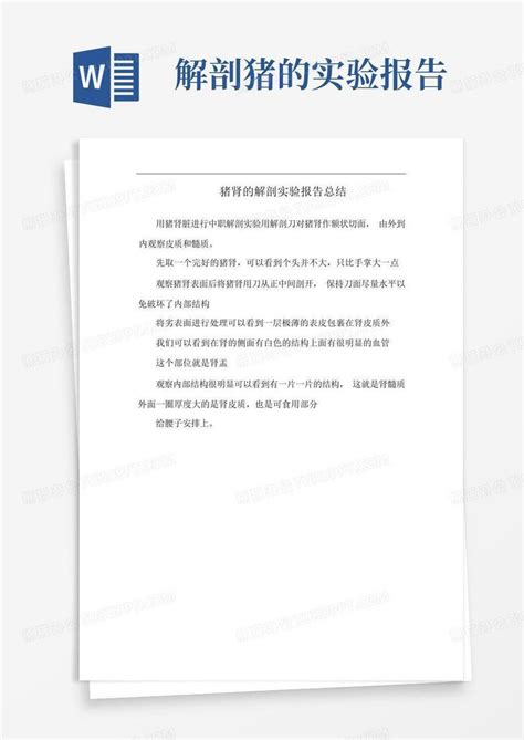 猪肾的解剖实验报告总结Word模板下载 编号lwwpxzna 熊猫办公