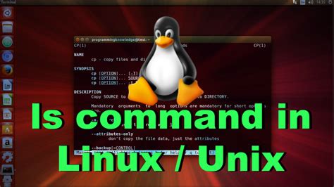 listing files and using wildcards a great mix in linux by juan