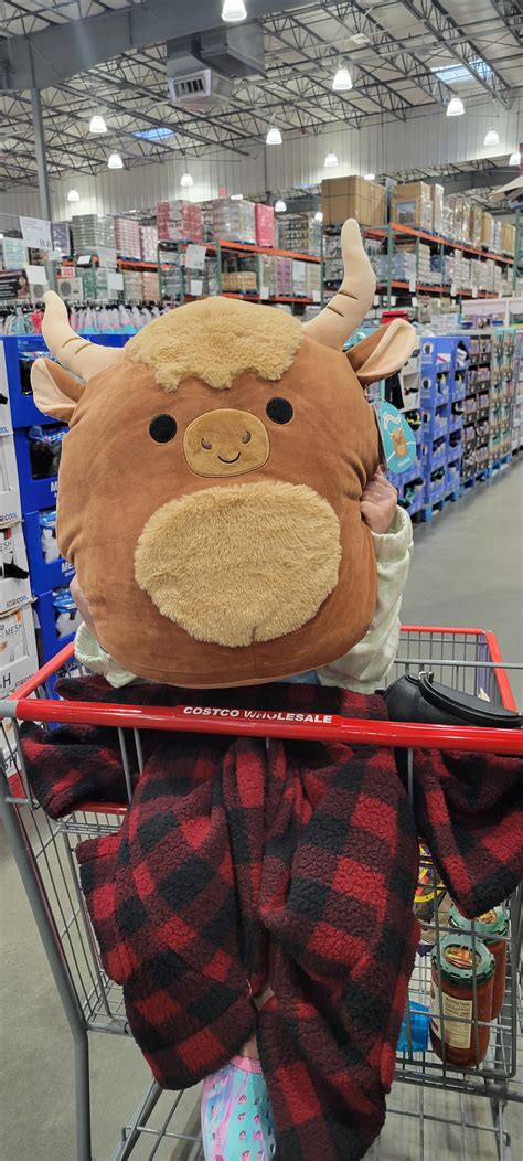 Costco R Squishmallow