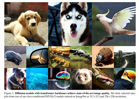 用 Transformer 替换 Diffusion 的u Net：可伸缩的 Diffusion 模型 Csdn博客