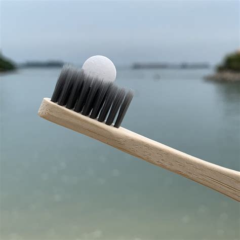 The Environmental Impact Of Toothpaste Tubes Vs Toothpaste Tablets