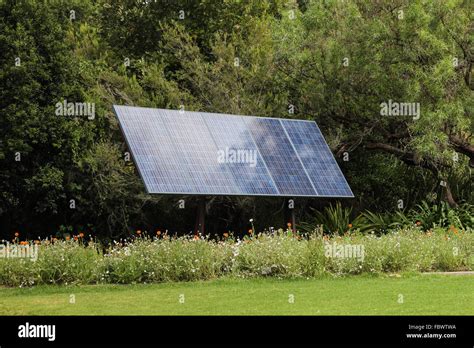 Solar Panel In Front Of Trees Stock Photo Alamy