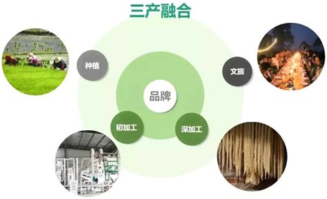 延伸产业链条 探索三产融合