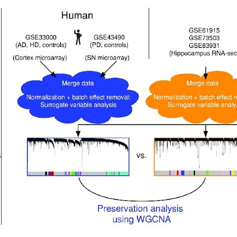 experimental design and data pre processing two microarray based