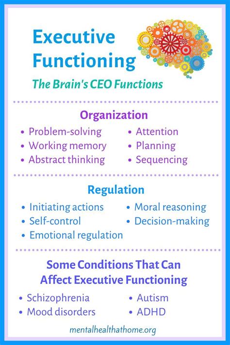 Understanding Executive Functioning Organization And Regulation