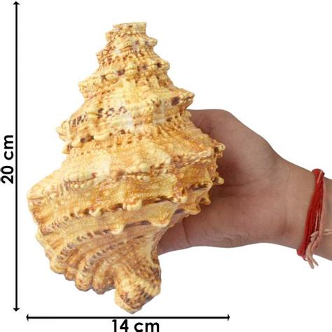 Satvik Spiritual Items Buy Satvik Spiritual Items Online At Best