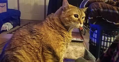 Batmunk Album On Imgur