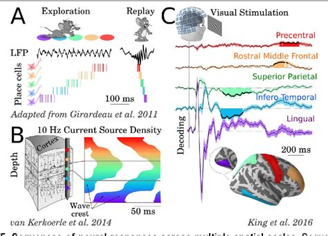 Figure 1 From Encoding And Decoding Framework To Uncover The Algorithms Of Cognition Semantic