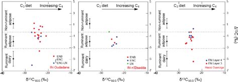 Graphs Showing Δ 13 C δ 13 C 180 δ 13 C 160 Values From The