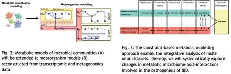 Metabolomics Mitarget