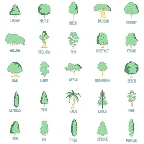 Premium Vector Tree Types Icons Set Outline Illustration Of 25 Tree
