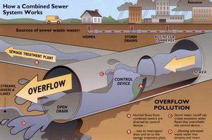 Stopping Alexandria Sewage Overflow Campaign Potomac Riverkeeper Network