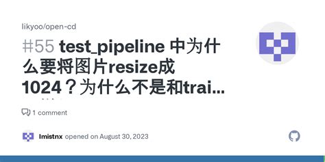 test pipeline 中为什么要将图片resize成1024？为什么不是和train一样的crop size呢？ · issue 55