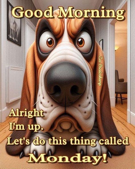 Good Morning Monday S Funny